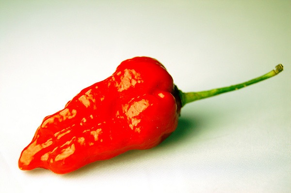 Meet the Chilli King from North-East India – Storytellers of Wonder
