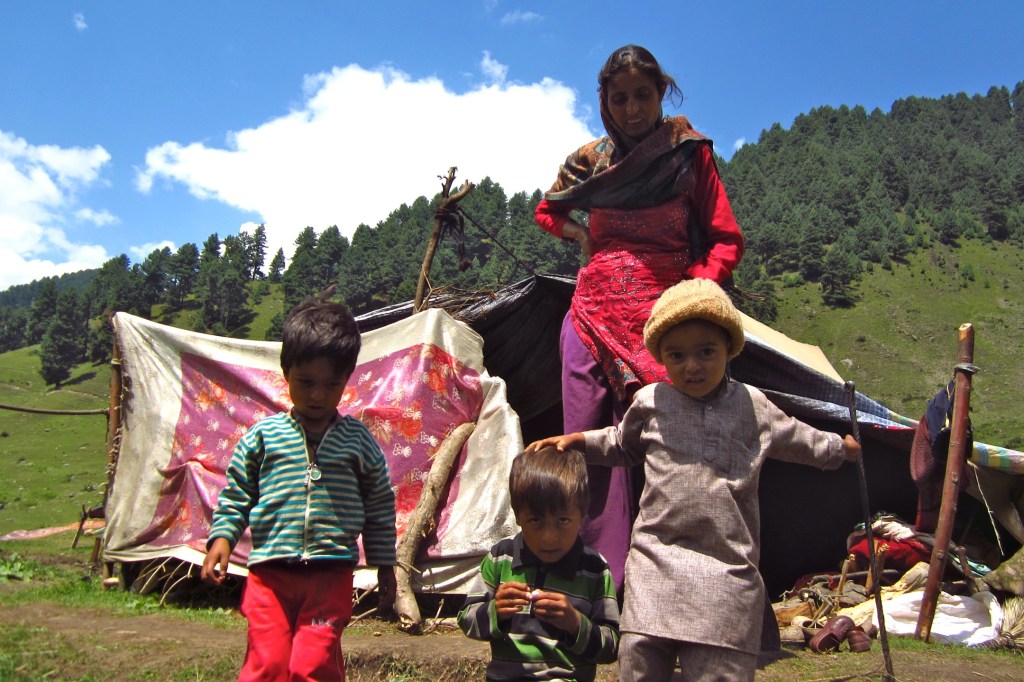 The Nomad Lyric: Embroidered Textiles from Kashmir’s Gujjar Bakarwal ...