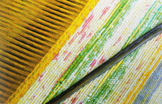 The Untold Tales of Khesh Weaving – Storytellers of Wonder