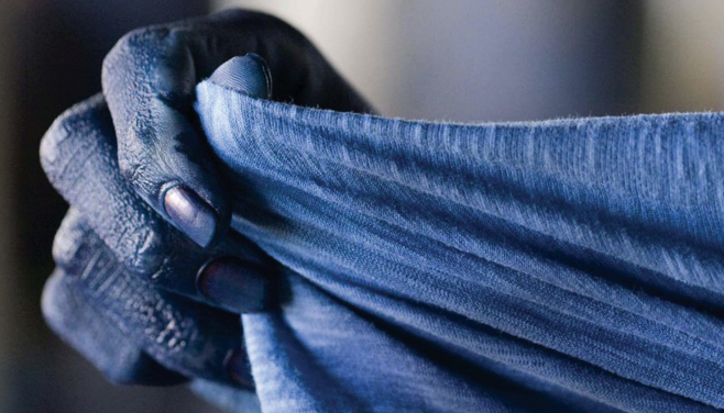 Indigo- The story of India’s Blue Gold – Storytellers of Wonder
