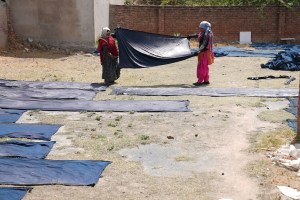 Indigo- The story of India’s Blue Gold – Storytellers of Wonder
